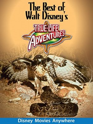 The Best Of Walt Disney's True-Life Adventures | The Ultimate Movie ...