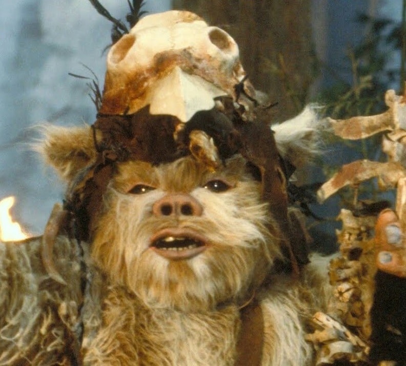 Logray | Star Wars Character Guide