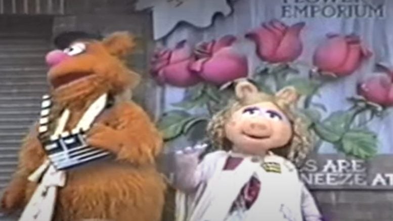 Sam Eagle (The Muppets) | The Ultimate Disney Character Guide