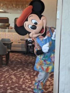 Complete Guide to Disney World Character Appearances | DINUS